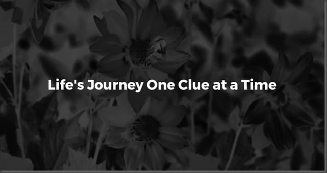 Grins Crossword Clue: Answer & Synonyms | Crossword Solver | WishesBirds