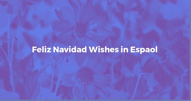 Spanish Christmas Wishes: Feliz Navidad Greetings & Messages | WishesBirds