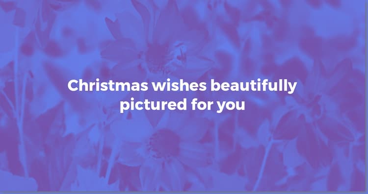 Christmas Wishes Images: Free & Unique Greetings - [Your Brand ...