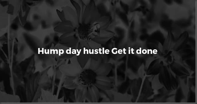 Wednesday Motivation: Quotes to Power Through Your Work Week | WishesBirds